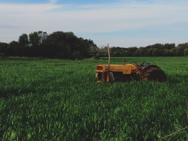 Four Drought-stricken Northwest Georgia Counties Declared Natural ...