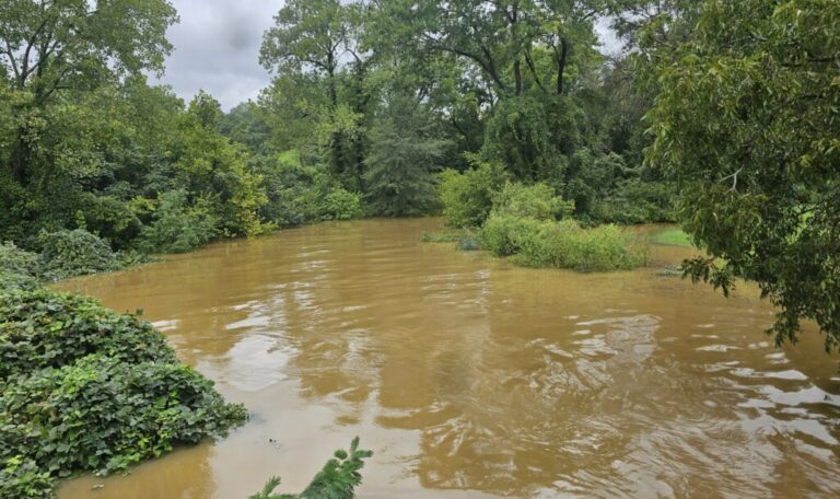 Photos: Hurricane Helene Devastates Georgia