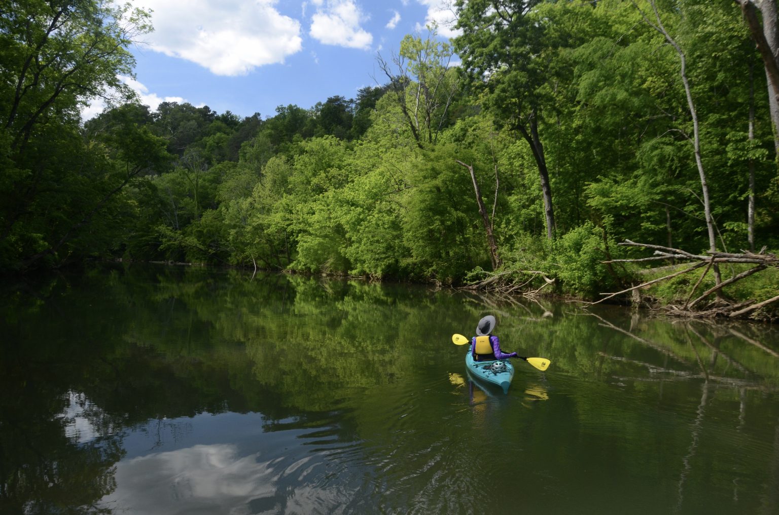Join the 20th Annual Paddle Georgia Adventure