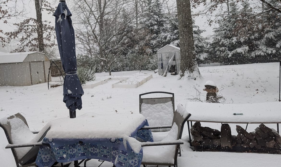 Around Georgia: Snow Photos and Updates