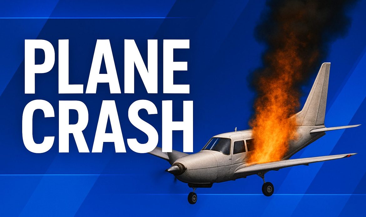 Pilot and Dog Killed in Georgia Plane Crash