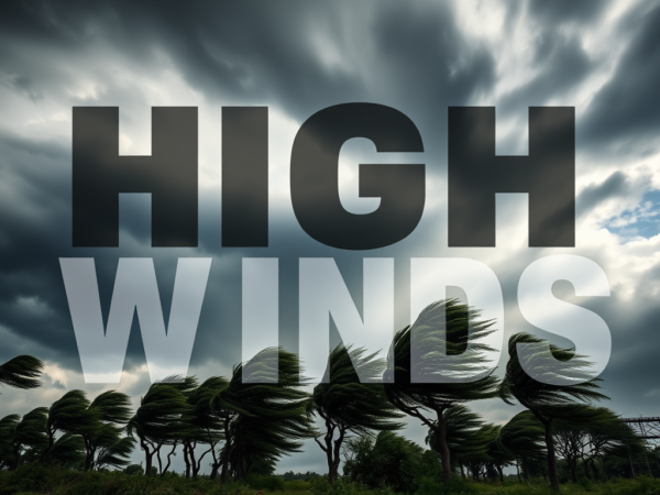 Strong storms bring damaging winds and tornado risk to parts of Georgia